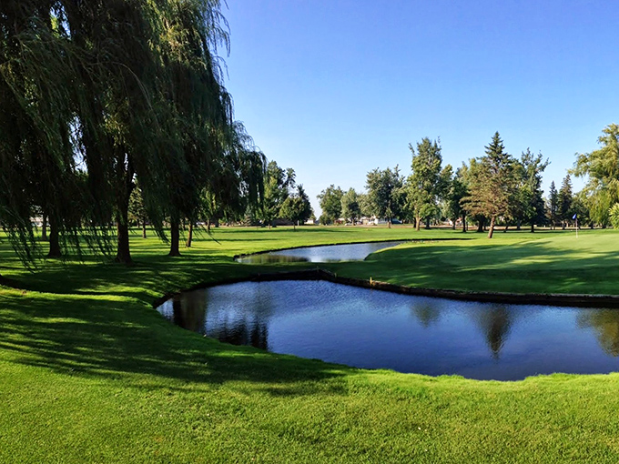 Prairie View Golf Links showcases Minnesota's natural beauty with water features that challenge golfers while delighting the eyes of nature lovers.