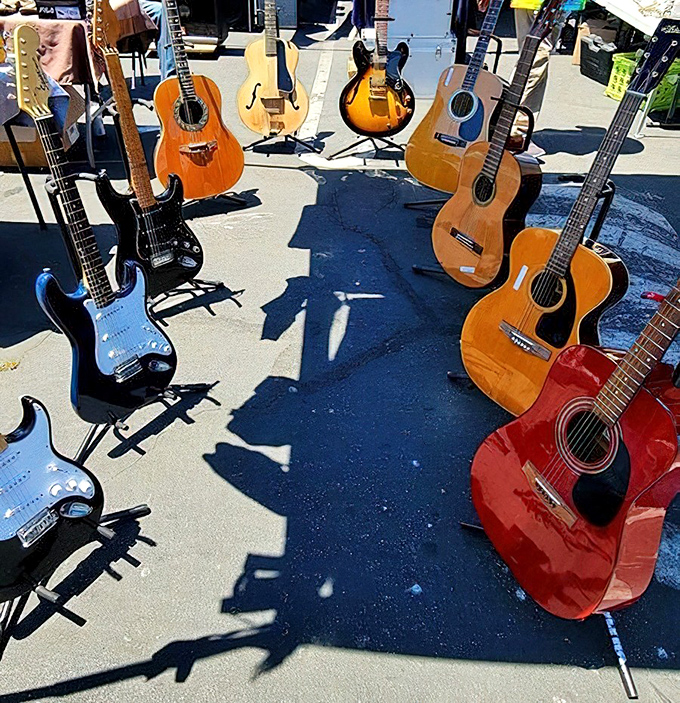 Guitar gallery under the California sun. These six-stringed beauties await new owners who'll strum everything from "Wonderwall" to Willie Nelson classics.