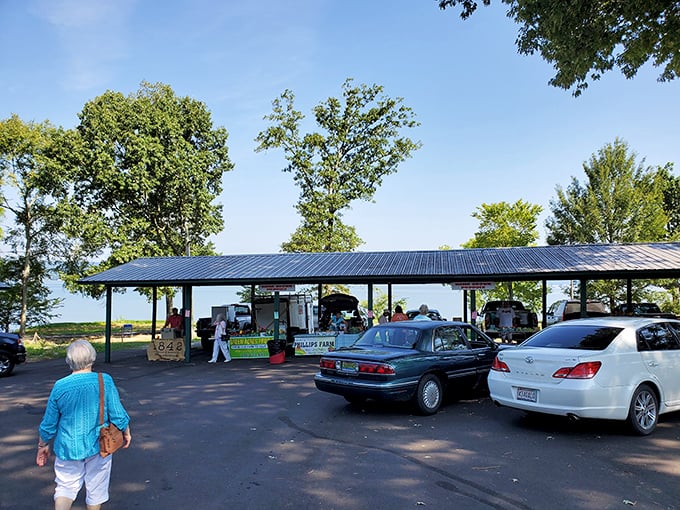 The local farmers market proves that fresh produce and community connections remain life's true luxuries, affordable to all regardless of income.