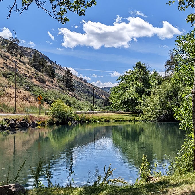 This serene water view proves that paradise doesn't require a passport, just a willingness to explore.