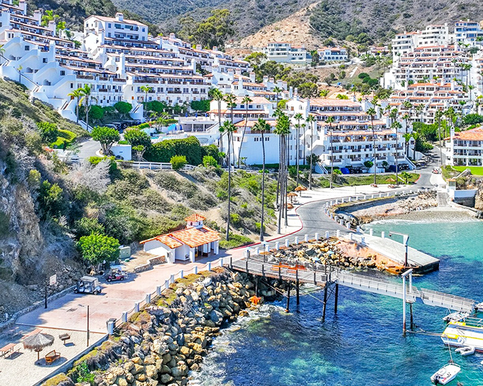 Hamilton Cove's white terraced condos cascade down the hillside like a Mediterranean village that somehow floated across the ocean to California's shores.