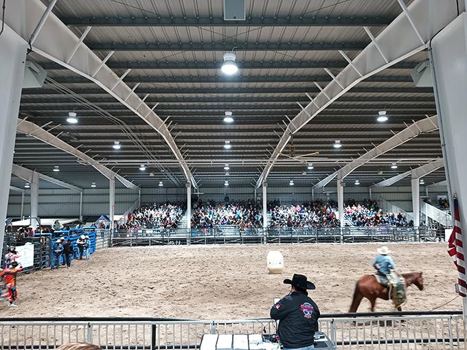 The Hardee County Fair brings rodeo excitement and agricultural pride to locals and visitors. Nothing says "authentic Florida" like cowboys kicking up arena sand. 