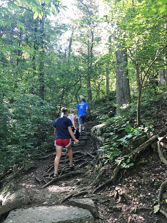 The stairway to heaven is actually in Missouri &ndash; hikers navigate stone steps on one of the park's challenging trails, where every elevation gain rewards with better views.