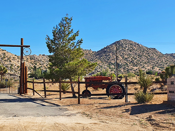 This vintage tractor stands guard at the entrance, a rust-colored reminder of when horsepower wasn't just a car specification.