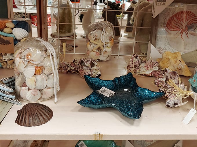 Coastal decor that lets you bring the beach home, minus the sand in unfortunate places. These shell-filled treasures scream "Florida" without the sunburn.