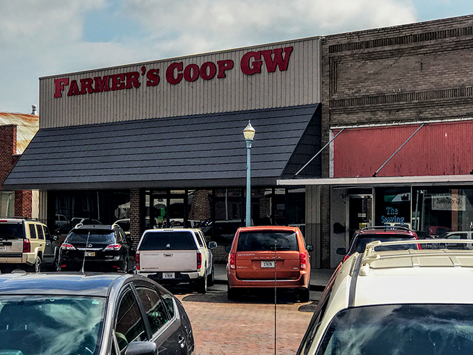 The Farmer's Coop isn't just a store&mdash;it's the practical heartbeat of agricultural communities where handshakes still seal deals.