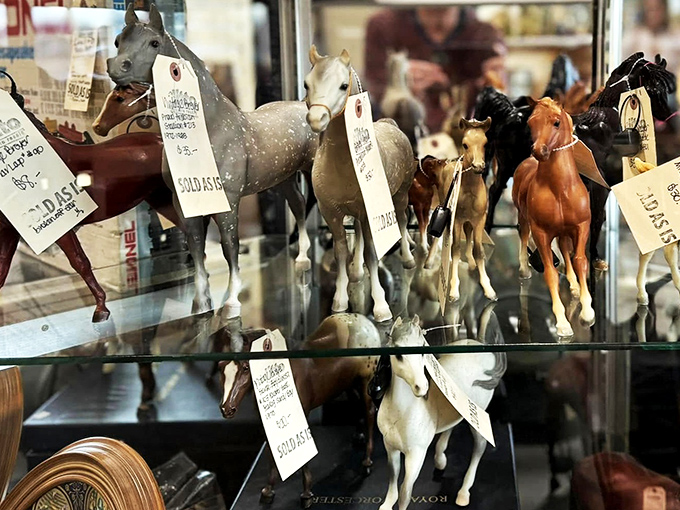 These miniature horses carry price tags instead of jockeys, galloping straight from display case to collector's shelf without breaking stride.