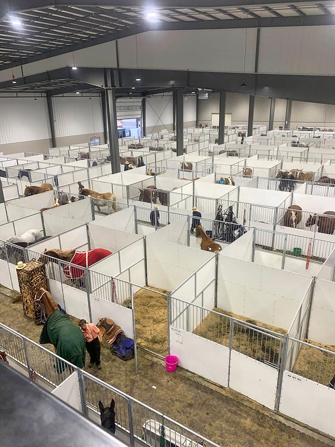 Horse accommodations at the auction&mdash;like a convention center hotel for four-legged attendees, minus the minibar and Wi-Fi.