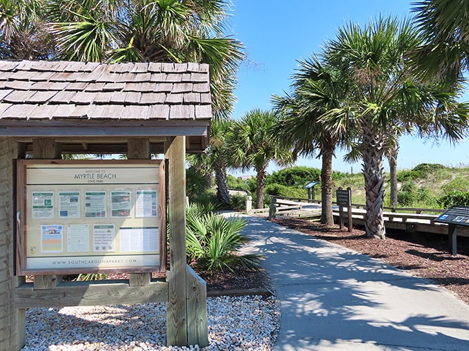 The nature center waits patiently to share its coastal secrets, no appointment necessary.