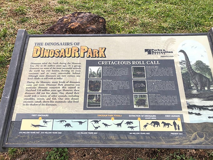 This informative display board offers a "Cretaceous Roll Call" of the prehistoric residents who once dominated Maryland's landscape. Dinosaur yearbook, anyone?