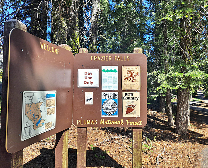 Nature's bulletin board: Where bears don't need Facebook to share important updates about the neighborhood.