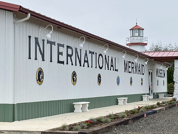 The International Mermaid Museum adds whimsical maritime folklore to Aberdeen's coastal identity &ndash; unexpected and utterly delightful.