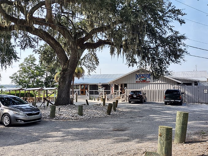 Beneath Spanish moss-draped oaks, Docksider offers waterfront dining with a side of Lowcountry authenticity. This is where seafood stories begin and diet plans surrender.