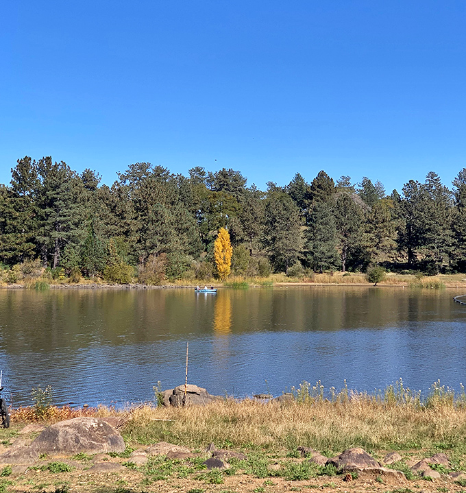 Fall colors reflect in Lake Cuyamaca's calm waters, creating a moment of tranquility that no meditation app could ever hope to achieve.