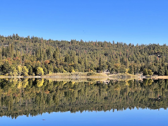 Mirror, mirror on the lake. Lake Britton's perfect reflection doubles the beauty of the surrounding forest in this serene morning scene.
