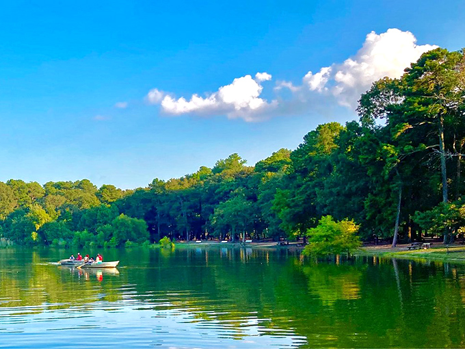 Summer serenity at its finest&mdash;a small boat glides across emerald waters while the shoreline offers shady respite from the Delaware sun.