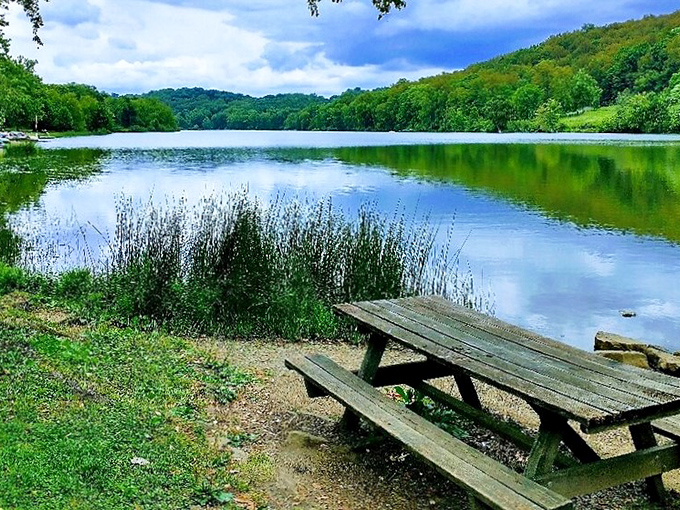 The quintessential lakeside lunch spot. That picnic table has witnessed more family stories than a holiday dinner table.