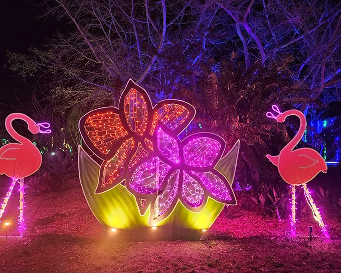 Lights in Bloom transforms the gardens into a neon wonderland where flamingos and flowers glow with electric personality.