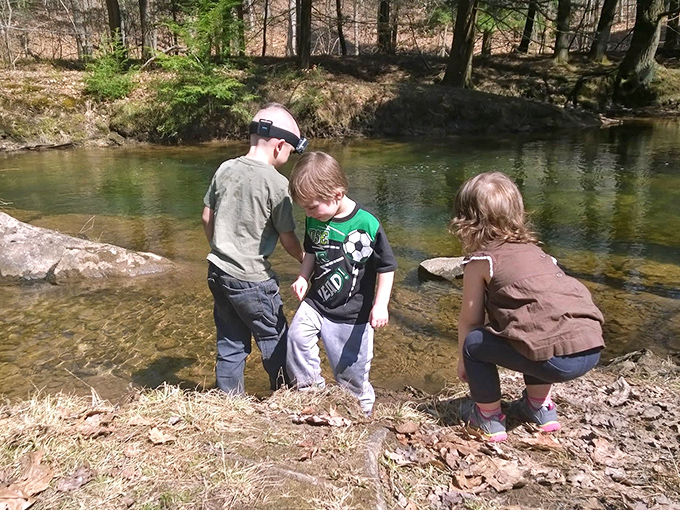 Young explorers discover creek life firsthand, proving that sometimes the best classroom has no walls. These water-edge investigations create tomorrow's scientists.