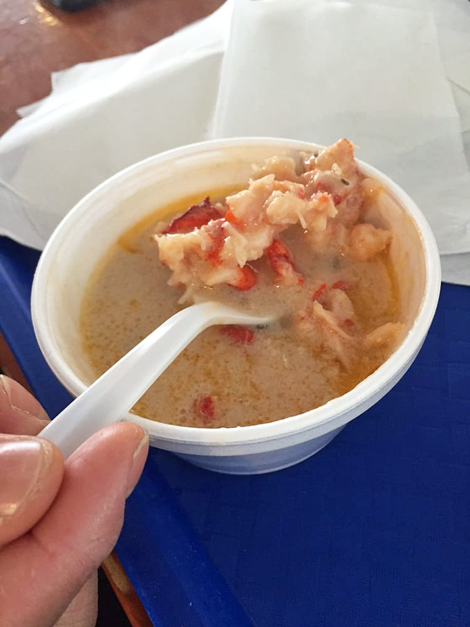Lobster bisque that's worth the trip alone—creamy, rich, and studded with chunks of lobster that remind you why soup can be a main event.