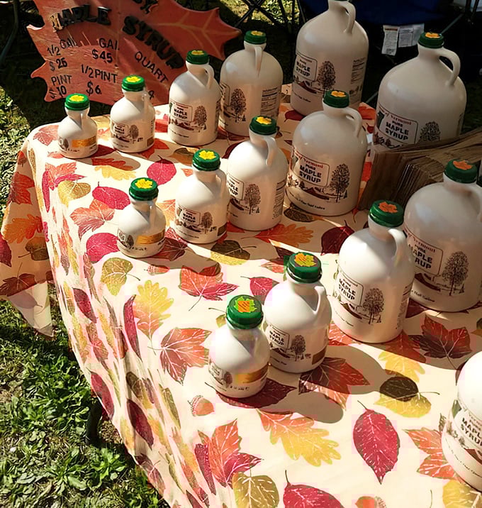 Maple syrup jugs line up like liquid gold soldiers, because this is Vermont and we take our tree juice seriously.