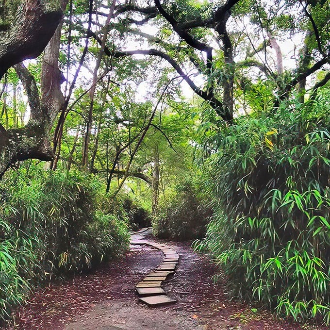 This bamboo-lined path doesn't just lead somewhere &ndash; it transports you through a green tunnel where everyday worries aren't allowed entry.