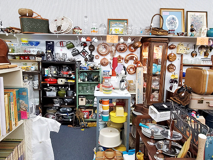 Menagerie Antiques doesn't sell old stuff&mdash;it offers previous lives, forgotten stories, and the chance to own something that's seen more history than your history teacher.