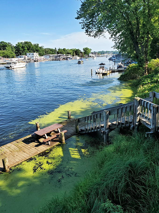 Summer serenity on the Kalamazoo River, where private docks and gentle waters create the perfect backdrop for Michigan's most relaxing afternoons.