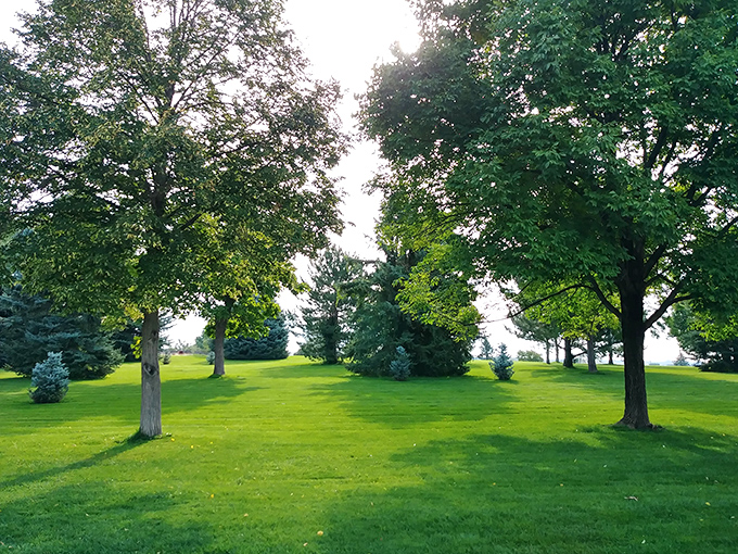 Mountain View Park delivers exactly what it promises, no false advertising or Instagram filters required here.