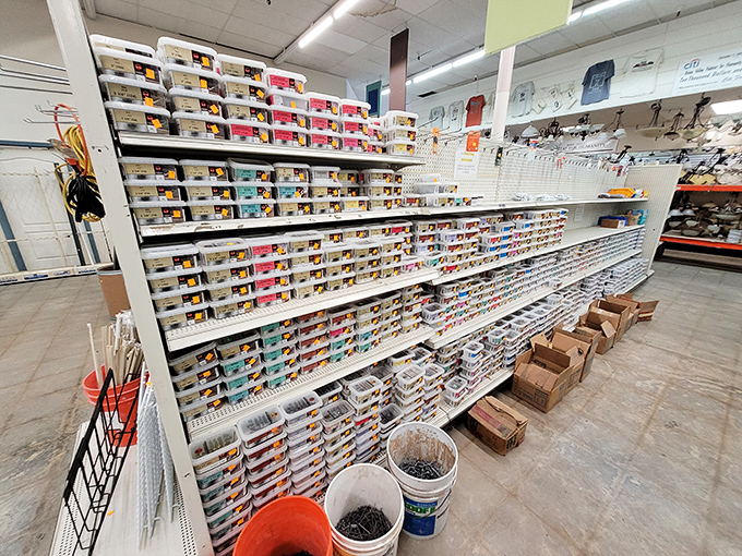 An organizational masterpiece of nuts, bolts, and hardware treasures&mdash;like a hardware store's inventory decided to attend a Marie Kondo seminar.