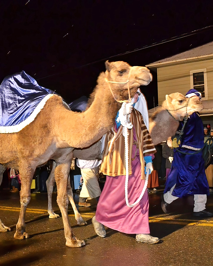 During special events, Berlin transforms into a living storybook&mdash;complete with camels that seem surprisingly at home in Ohio.
