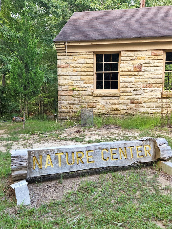 The Nature Center: where curiosity meets education in a charming stone cottage that looks like it belongs in a fairy tale.