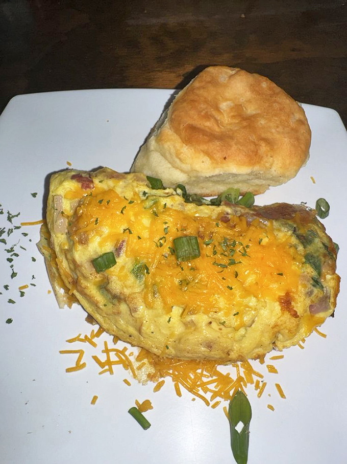 This omelet isn't just breakfast &ndash; it's a cheese-covered canvas painted with green onions and morning optimism.