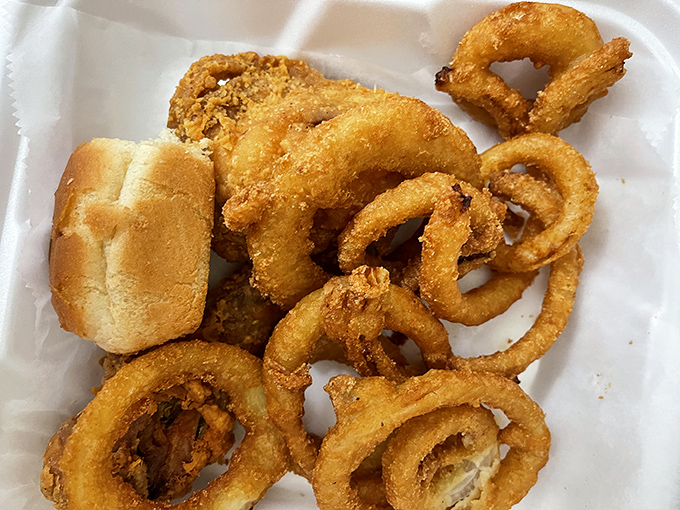 Onion rings and a biscuit sharing space like old friends, proving that at Wayside, even the supporting cast deserves a standing ovation.