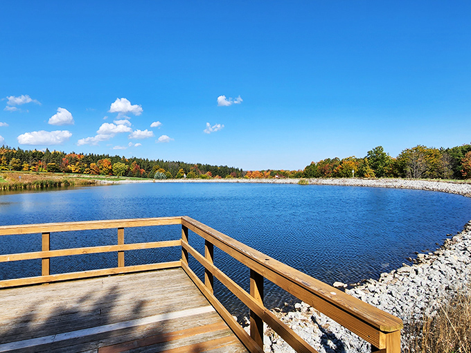 Lakeside serenity at Ontario County Park offers the kind of view that makes smartphone cameras feel wholly inadequate to capture its expansive beauty.