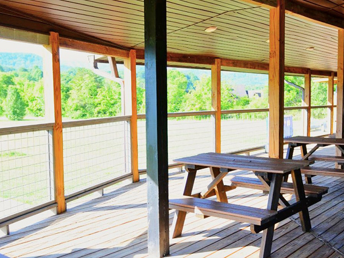 The screened porch dining area offers mountain views with your meal—nature's television program that never needs changing.