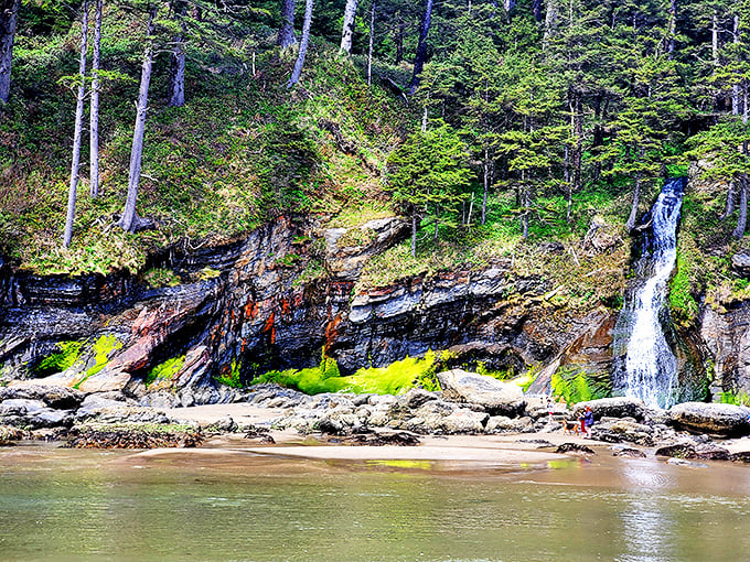 Oswald West State Park's dramatic waterfall cascades directly onto the beach&mdash;Mother Nature showing off just minutes from downtown Manzanita.