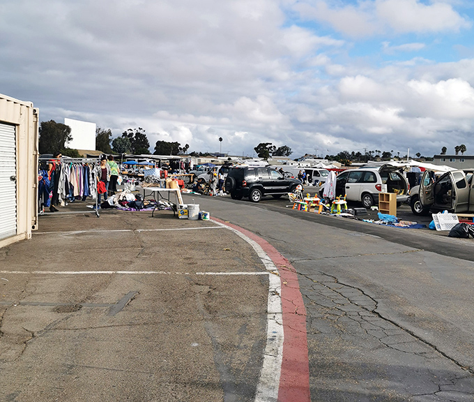 The swap meet stretches to the horizon under California's mercurial skies. Each aisle promises new discoveries for the patient explorer.