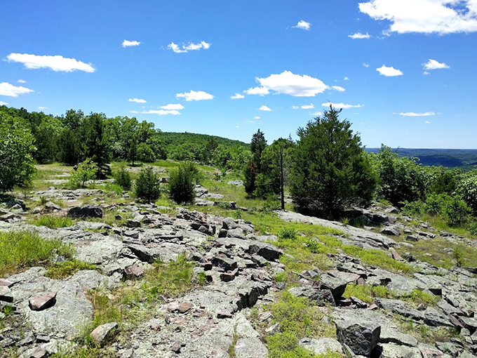 Exposed bedrock tells the ancient story of Missouri's geological past. This scoured landscape reveals layers of history normally hidden beneath soil and vegetation.