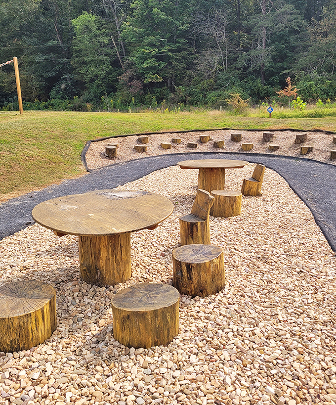 Nature's conference room: where the only PowerPoint is the sunset and the only agenda is unwinding from civilization.