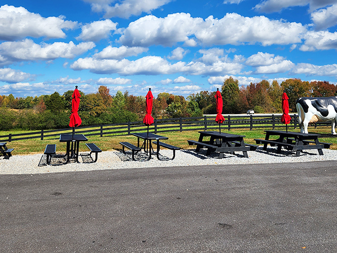 Picnic tables with a view of rolling pastures&mdash;because ice cream tastes 37% better when enjoyed with a backdrop of the countryside that produced it.