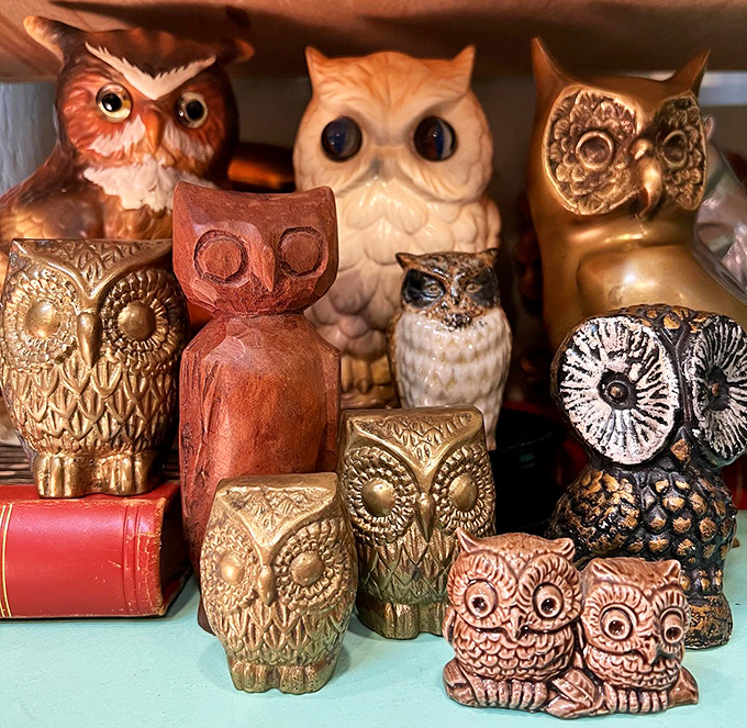 A parliament of owl figurines stands in judgment. The ceramic one in front seems to be saying, "Yes, you absolutely need me on your bookshelf." 