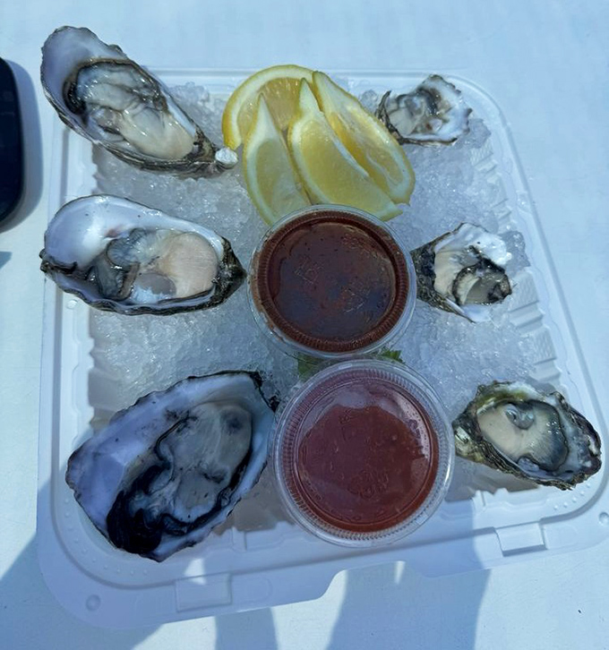 Fresh oysters on ice, glistening like jewels from the deep&mdash;nature's perfect appetizer with just a squeeze of lemon and a dash of courage. 