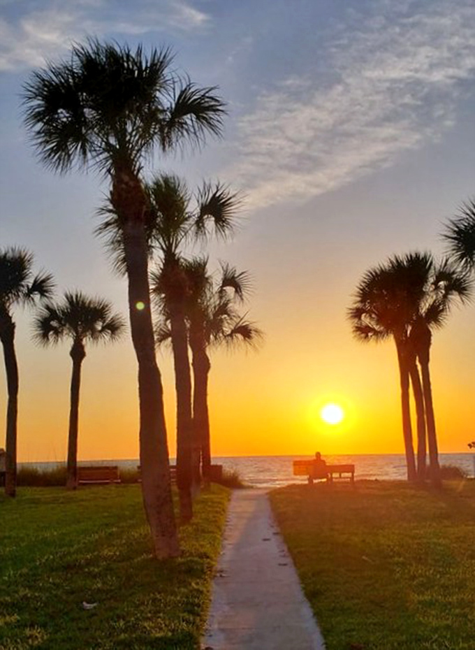 Palm trees frame nature's daily spectacle as the sun bids farewell over tranquil Gulf waters.