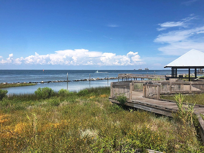 Nature's perfect viewing platform. These weathered boards and salt-kissed railings frame the meeting point of marsh and Gulf waters.