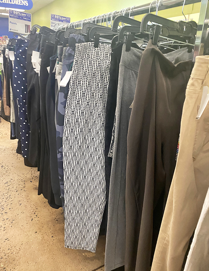 The pants parade offers options for every body type. From business casual to weekend comfort, all at prices that won't empty wallets.