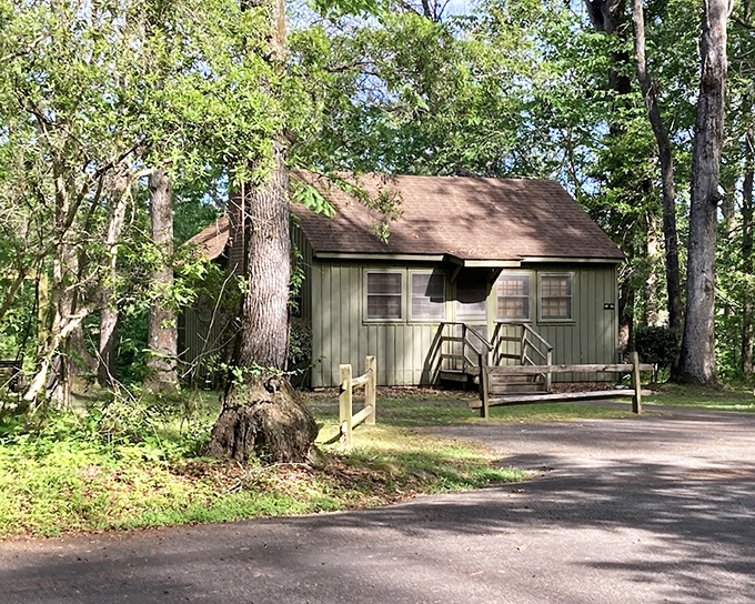 This cozy green cabin doesn't have Netflix, but it offers something better—a front-row seat to nature's own reality show.