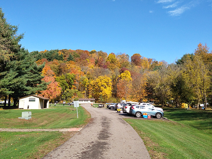 Fall colors transform the campground into nature's five-star resort, where the amenities include fresh air and a soundtrack of rustling leaves.