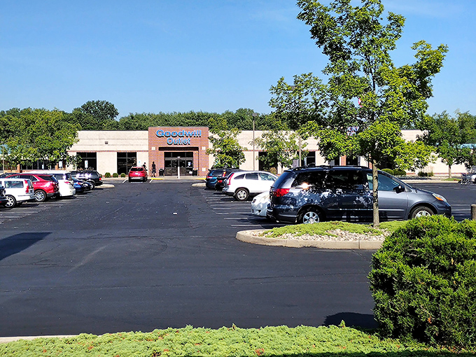 The parking lot fills early on weekends. Serious thrifters know to arrive with coffee in hand and plenty of trunk space.