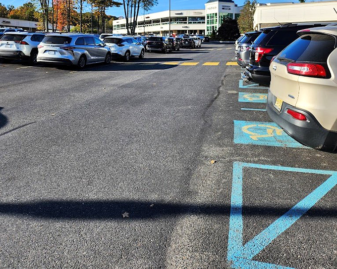 Blue handicap spaces ensure accessibility for all bargain hunters. Shopping equality is alive and well in the Poconos.